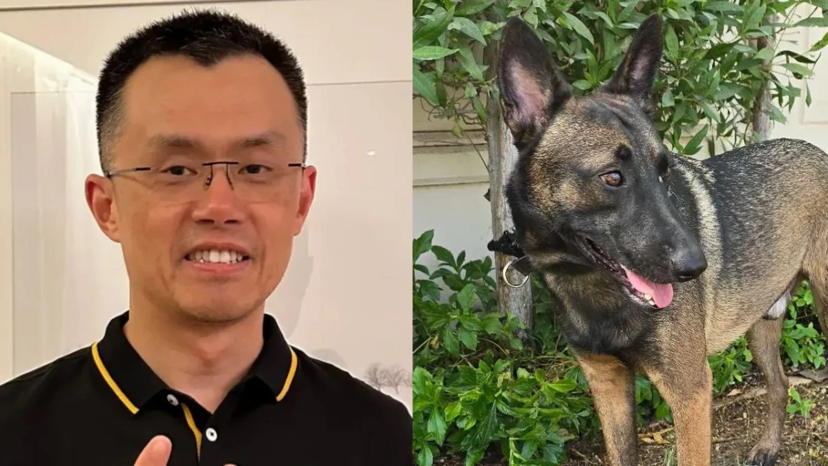 Binance founder triggered the creation of dog-named memecoins
